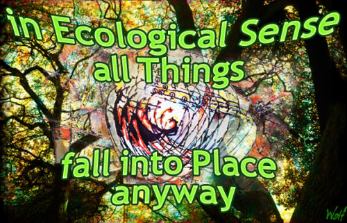 Lean, Clean, Green Thinking ? - The Eco-logic Dimensions of Real Economics